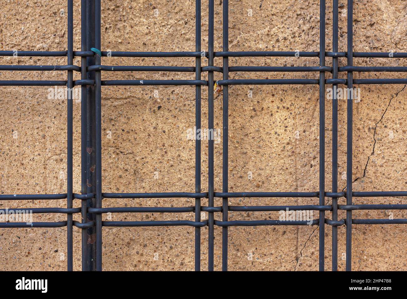 Black painted metal grid pattern - trellis to give support for climbing ...