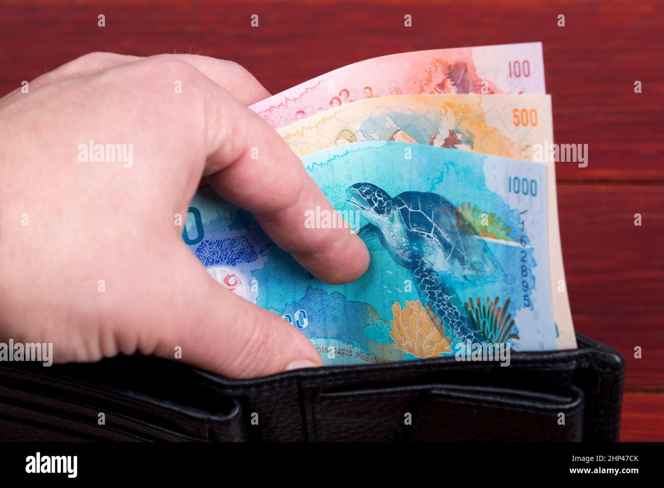 Maldivian money - Rufiyaa in the black wallet Stock Photo - Alamy