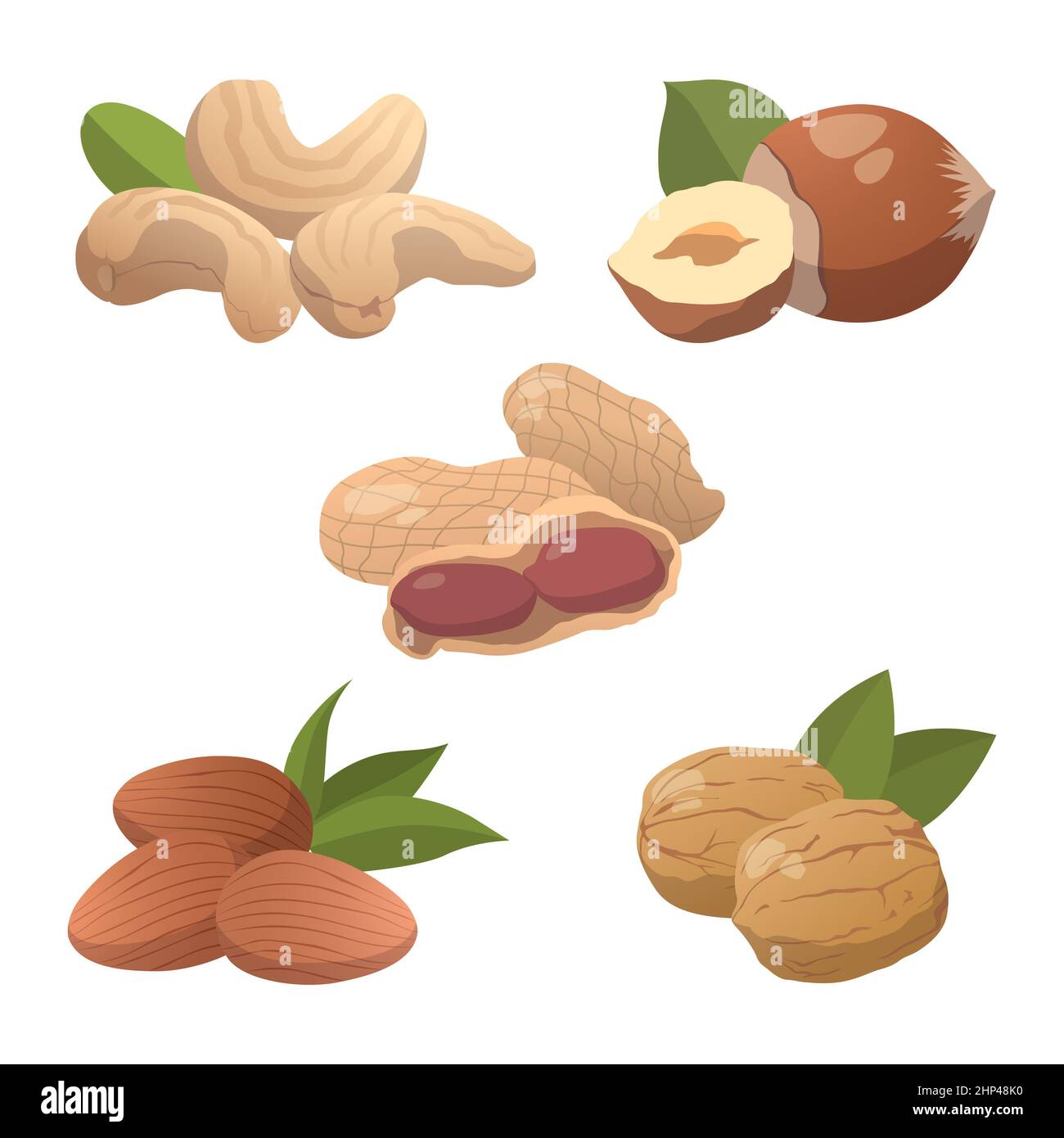 Set of 5 pieces of different types of nuts on a white background ...