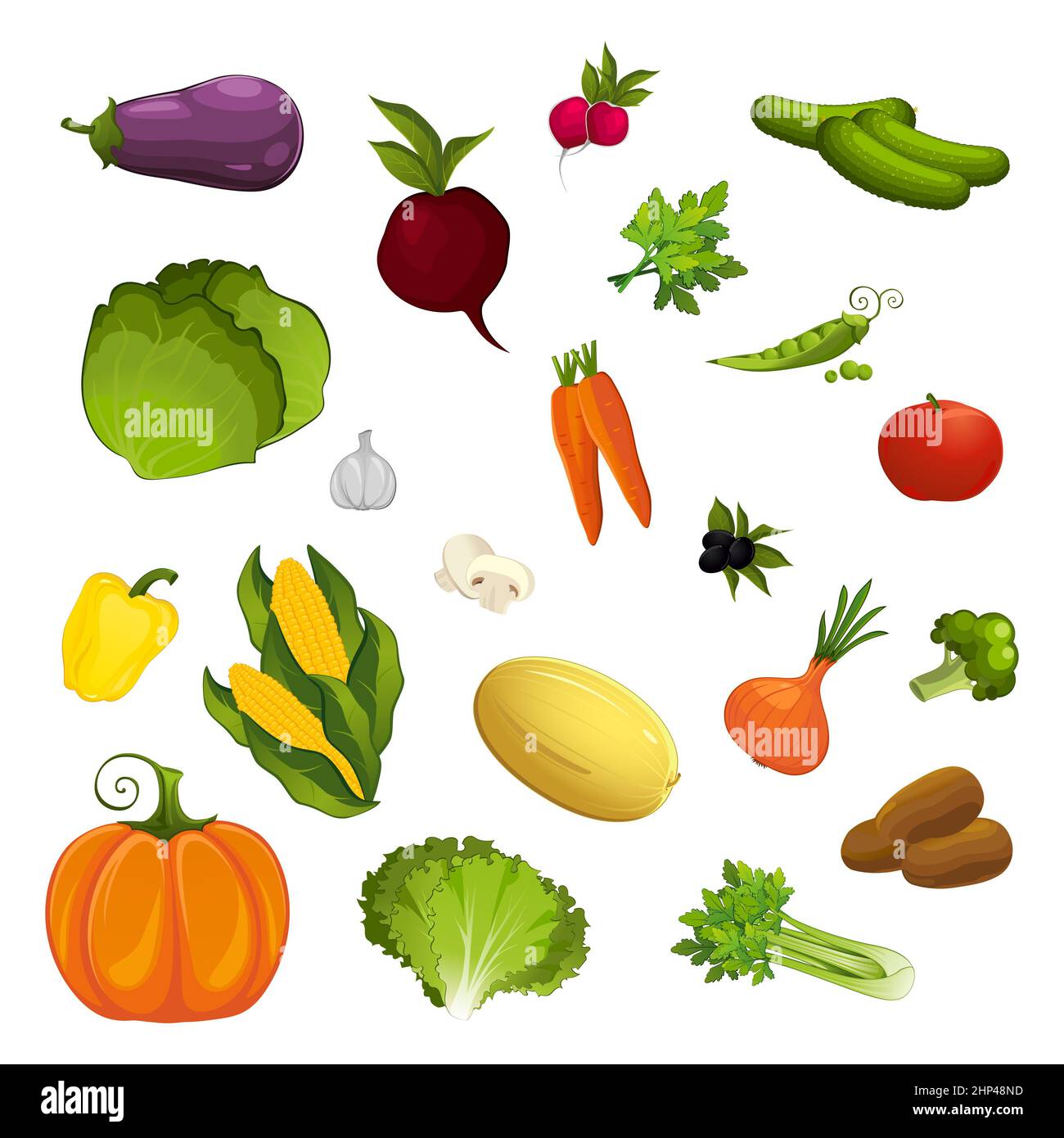 Set of 21 pieces of different vegetables on a white background ...