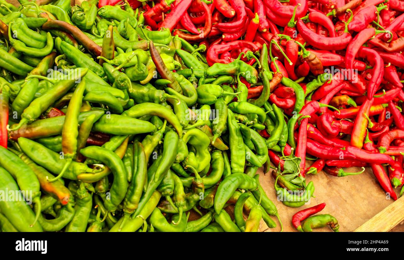 Pointed red and green peppers, in vivid contrast colours, displayed on ...