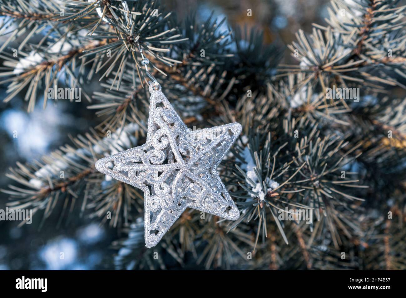 Silver Christmas star hanging on a snow covered fir-tree branch Stock ...