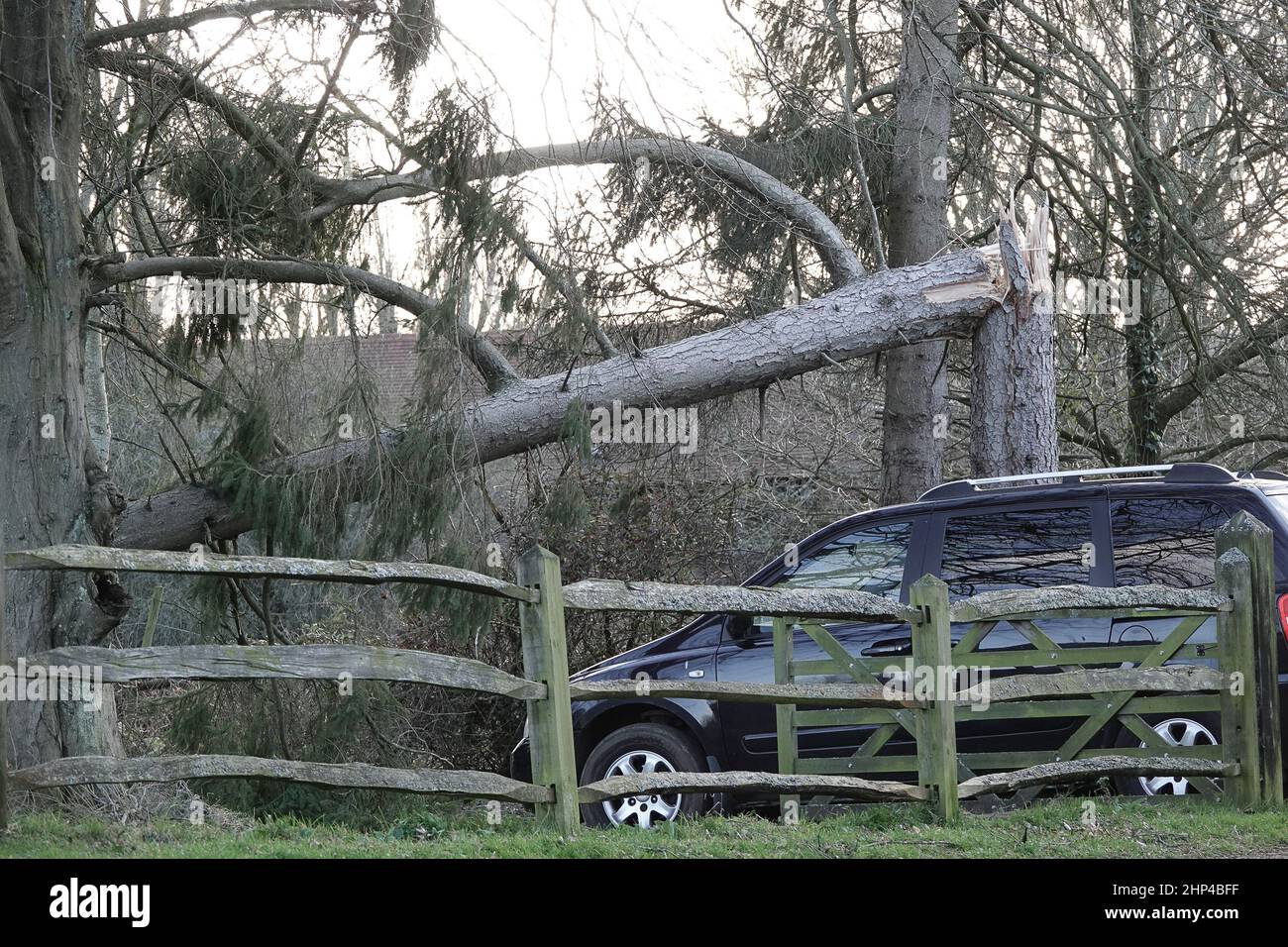 Station Lane, Godalming. 18th February 2022. Hurricane force winds hit ...