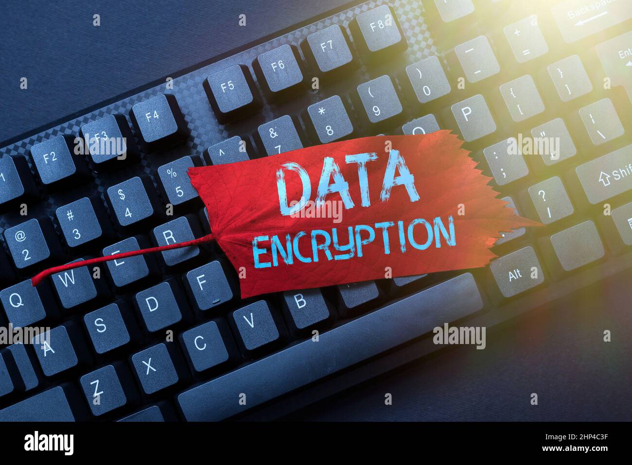 Text sign showing Data Encryption, Word Written on Symmetrickey ... Text sign showing Data Encryption, Word Written on Symmetrickey ...