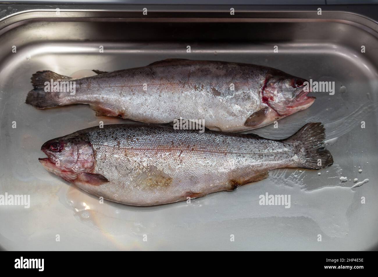 Fresh raw pink salmon fish in the supermarket Stock Photo - Alamy