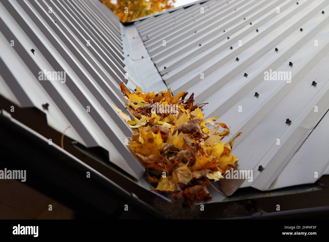 Hand compactor hi-res stock photography and images - Alamy