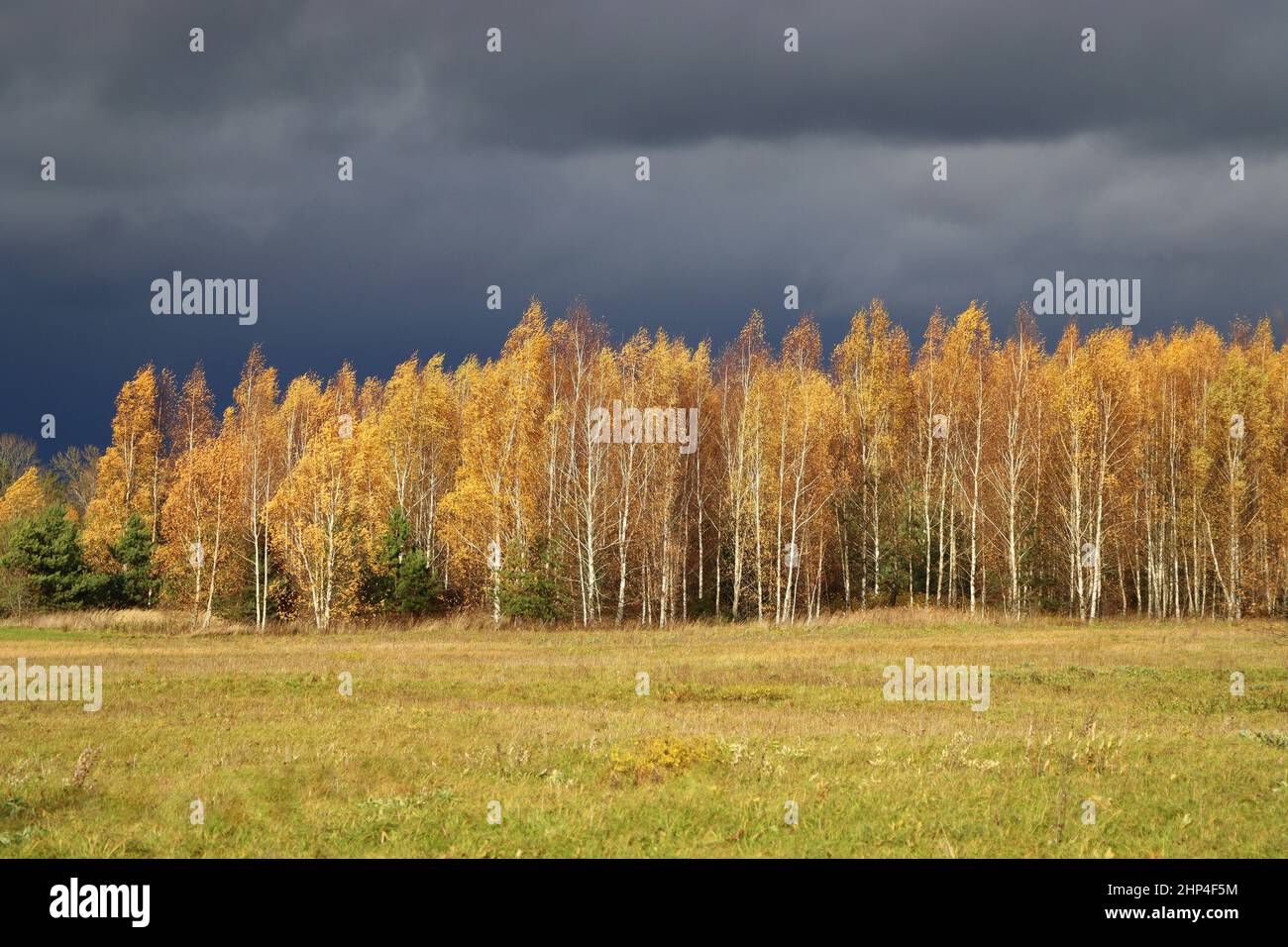 Dramatic dark blue sky scenery. Deep dark landscape. Evening sunlight ...