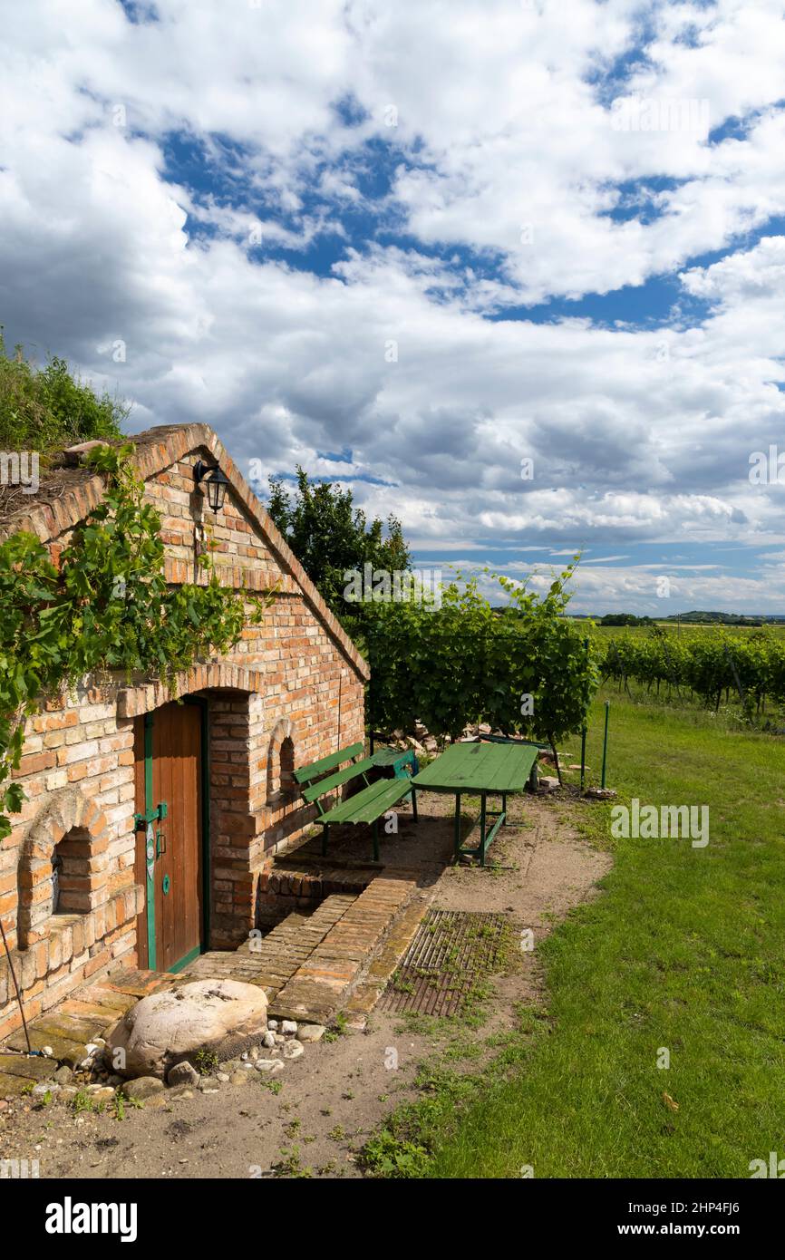 Wine cellars and vineyard in Palava region, Southern Moravia, Czech ...