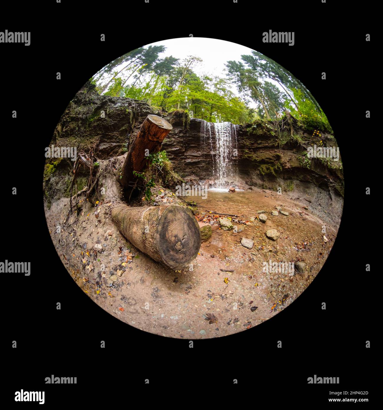 Waterfall in a forest landscape with fish-eye lens Stock Photo - Alamy