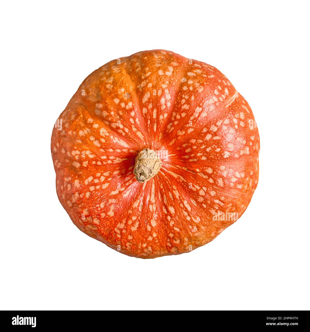 Top view shot pumpkin Cut Out Stock Images & Pictures - Alamy