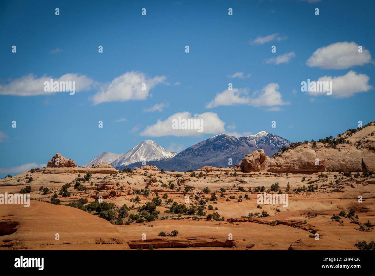 Snow-topped mountains in Colorado viewed over the top of dessert ...