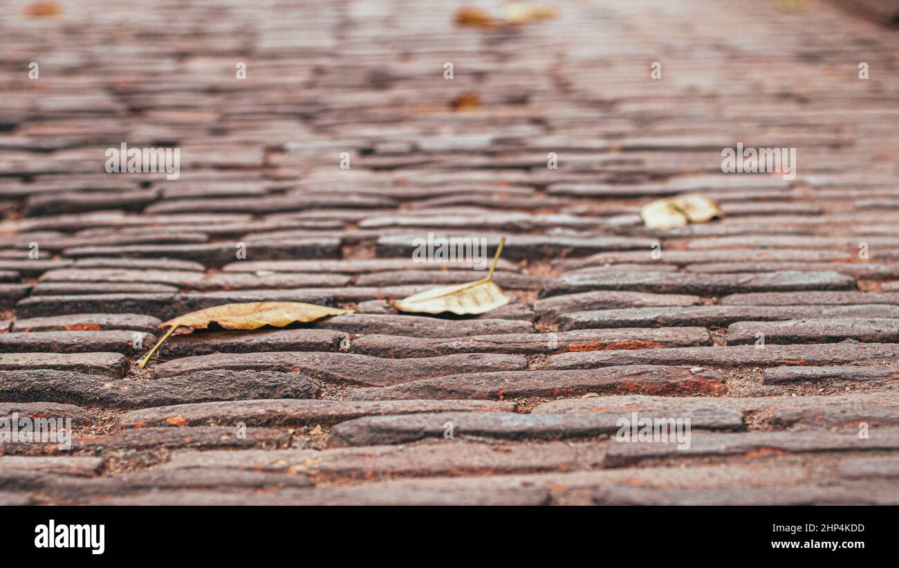 selective focused Cobblestone pavement.Vintage stone street road ...
