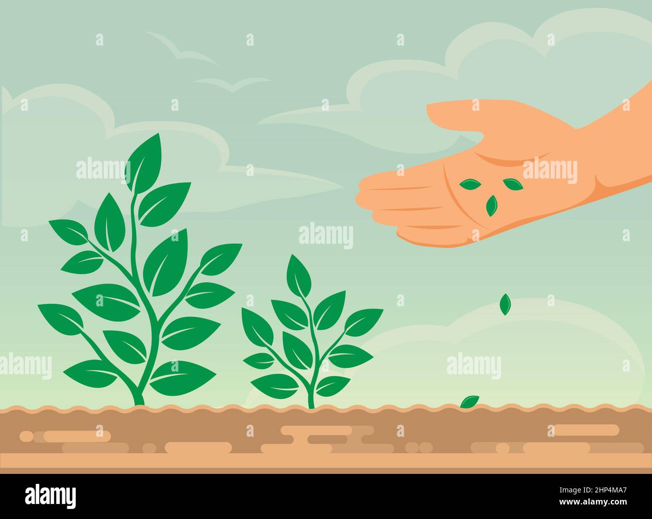 hand Sowing of seeds, Ecology. Vector illustration Stock Vector Image ...