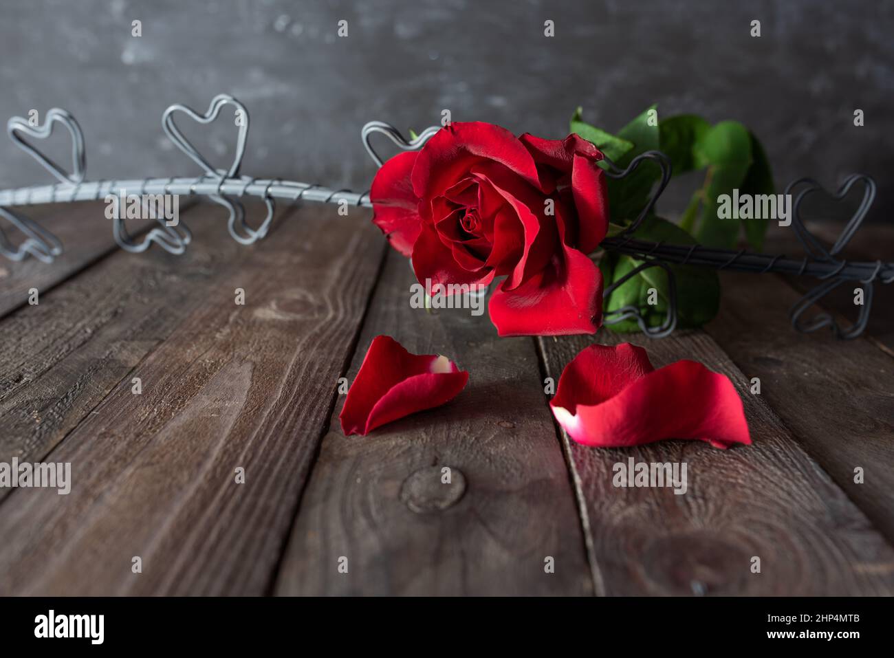 Valentine's day vintage background with red roses on rustic wood and ...