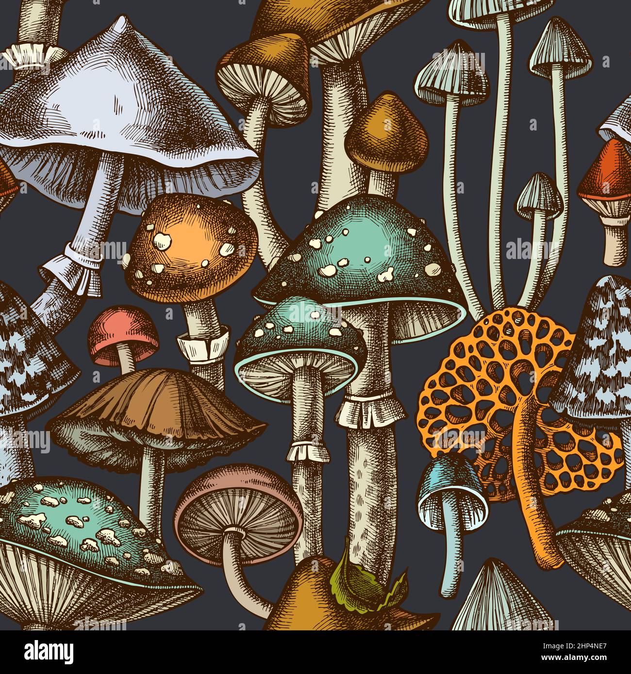 Forest mushrooms seamless pattern background design. Engraved style ... Forest mushrooms seamless pattern background design. Engraved style ...