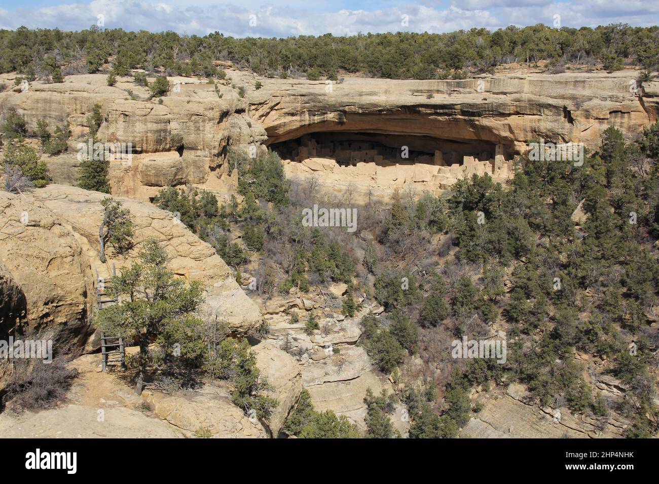 Archaeological site near a cliff with caves and trees growing in a ...
