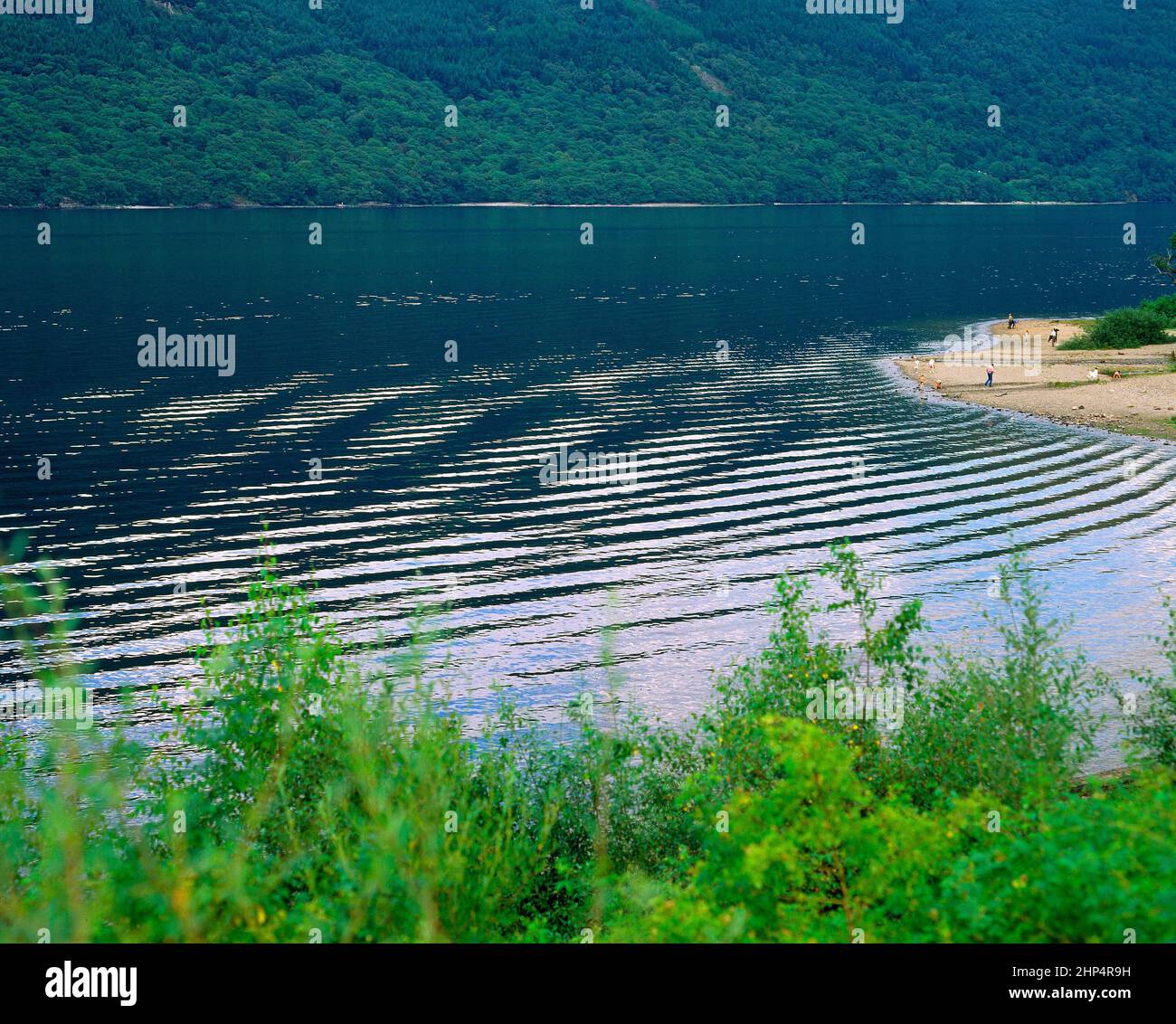 Orillas del lago ness hi-res stock photography and images - Alamy