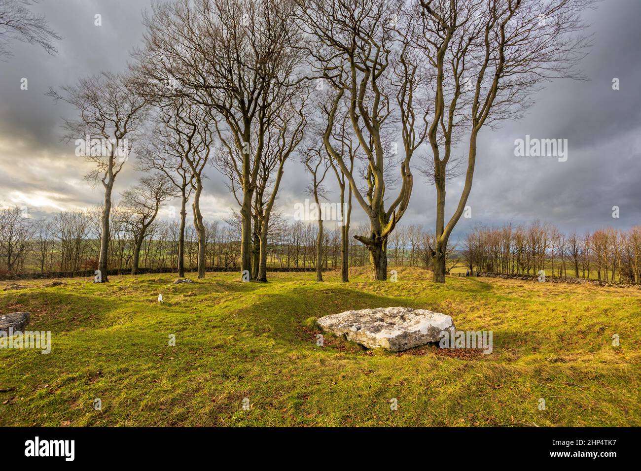 Minninglow is an archaeologhical site in the Peak District National ...