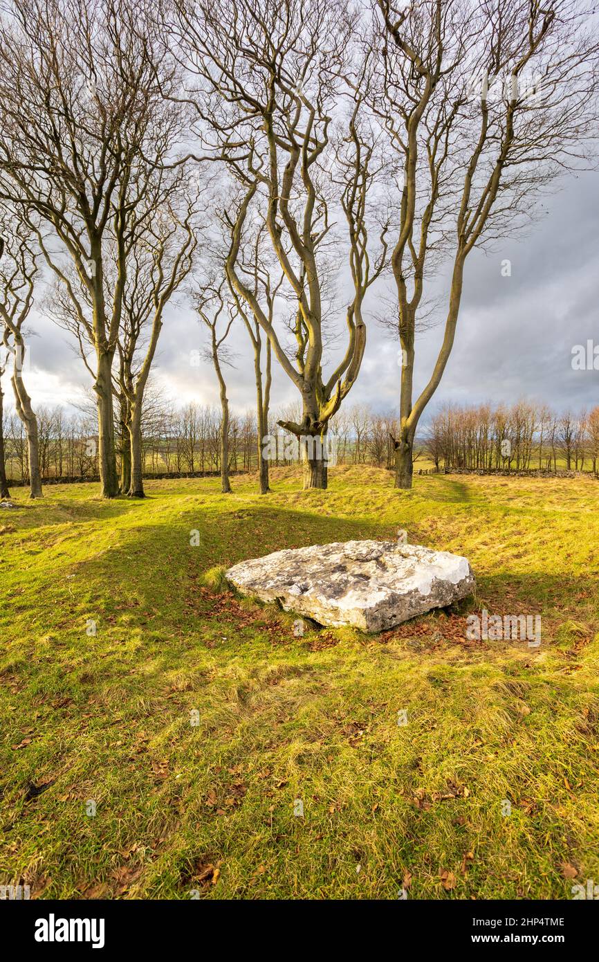Minninglow is an archaeologhical site in the Peak District National ...