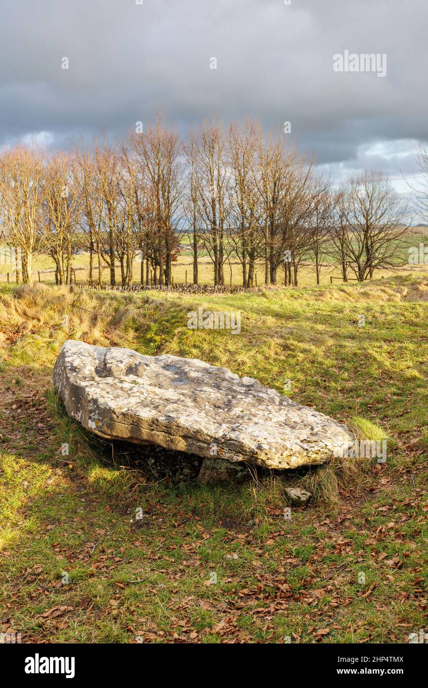 Minninglow is an archaeologhical site in the Peak District National ...
