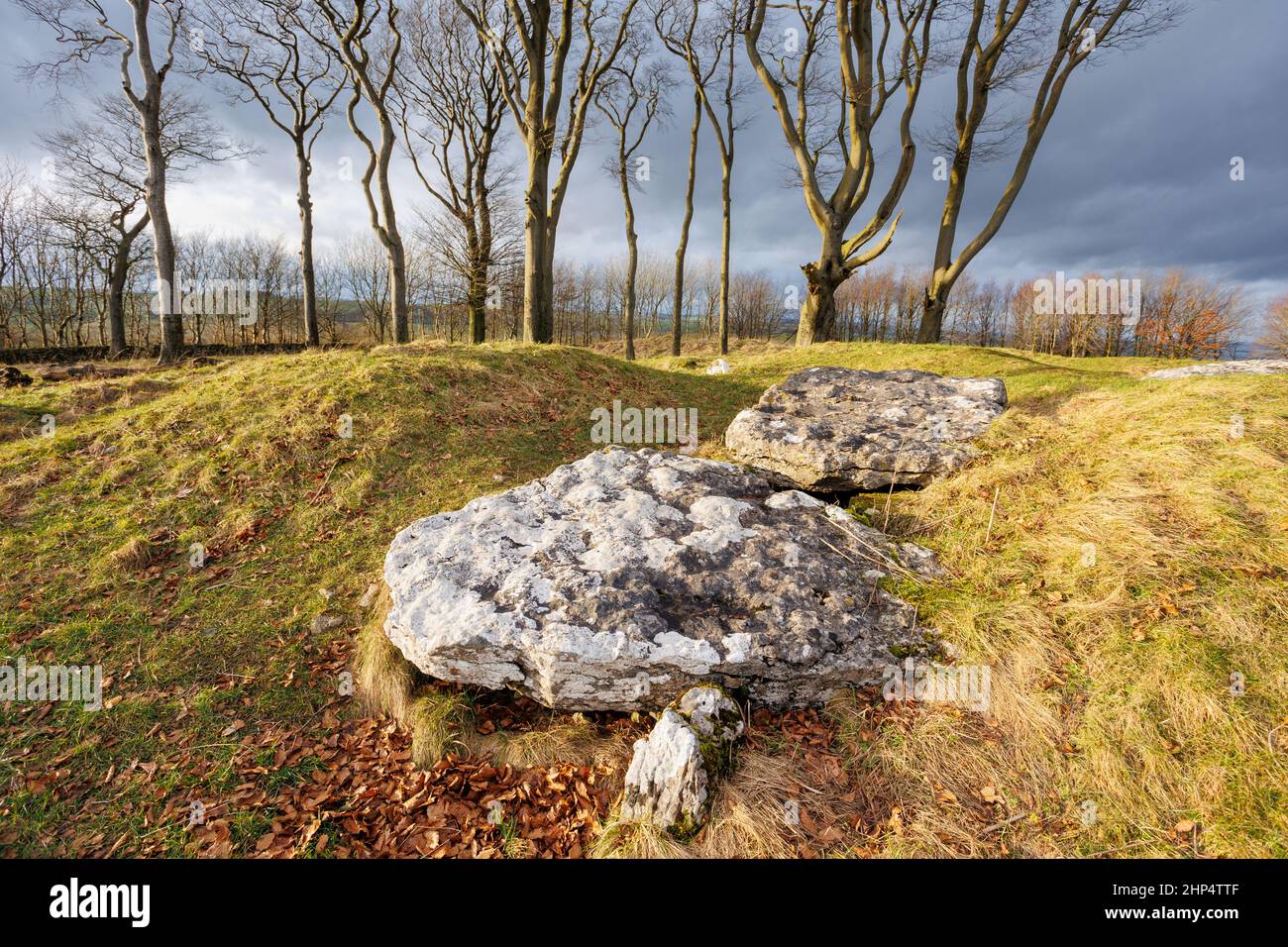 Neolithic and bronze age bronze bowl hi-res stock photography and ...