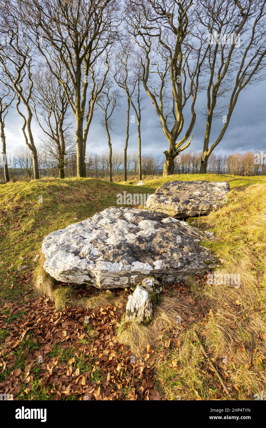 Minninglow is an archaeologhical site in the Peak District National ...