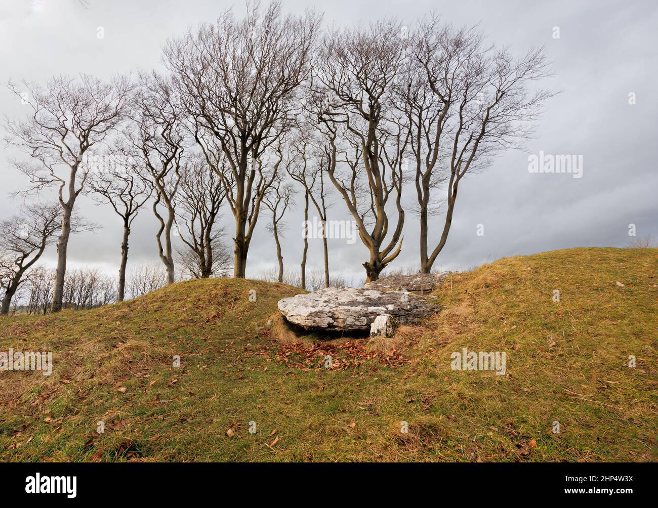 Minninglow is an archaeologhical site in the Peak District National ...
