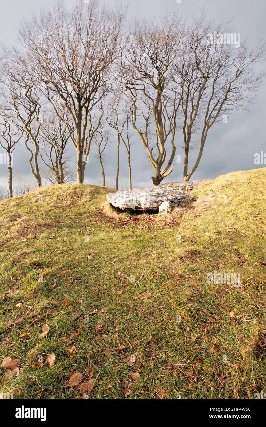 Minninglow is an archaeologhical site in the Peak District National ...