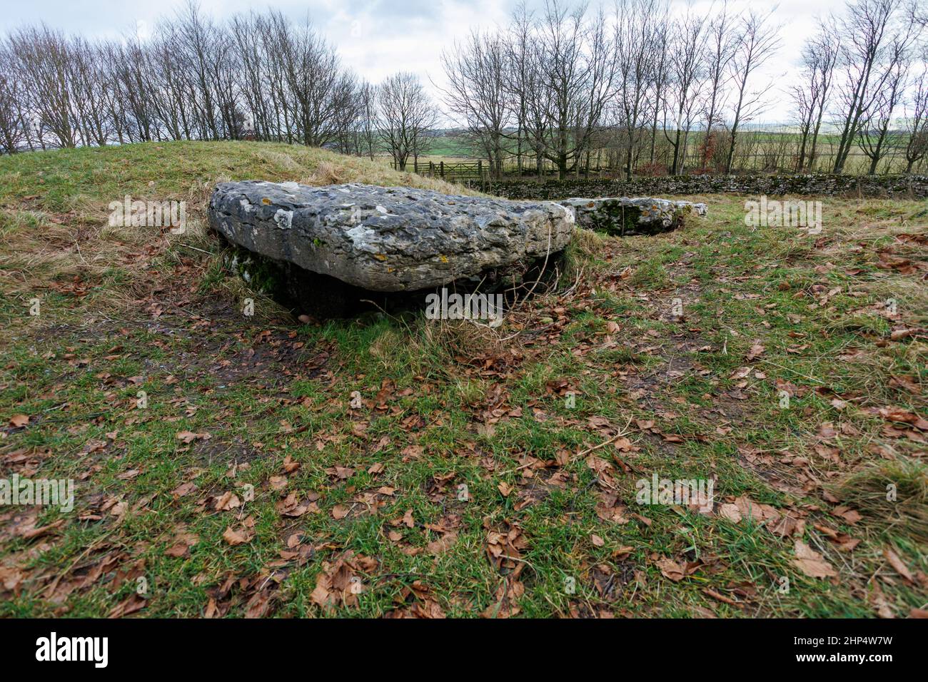 Minninglow is an archaeologhical site in the Peak District National ...