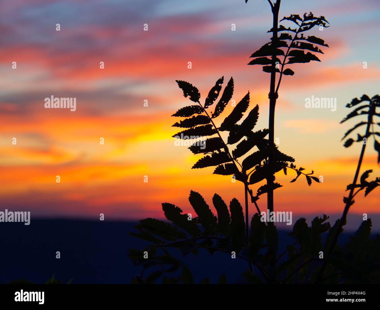 Golden sun beam hi-res stock photography and images - Alamy