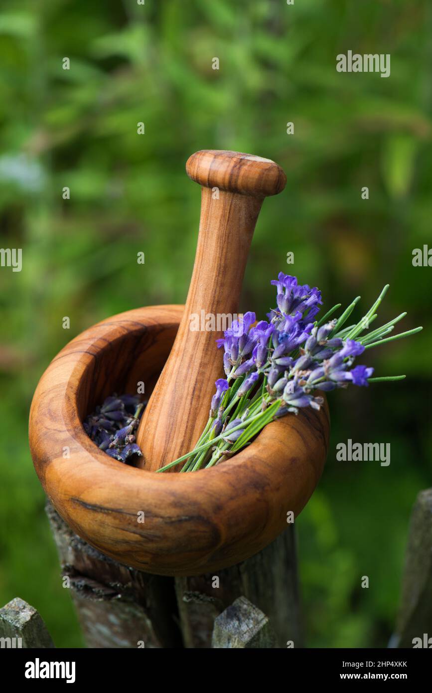 Wooden mortar with lavender Stock Photo - Alamy