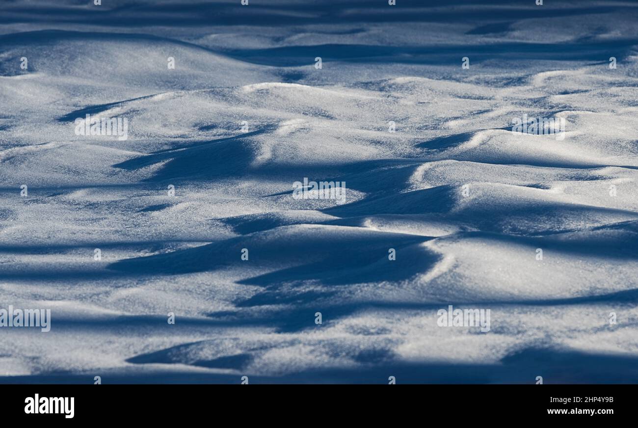 Hemisphere pattern hi-res stock photography and images - Alamy