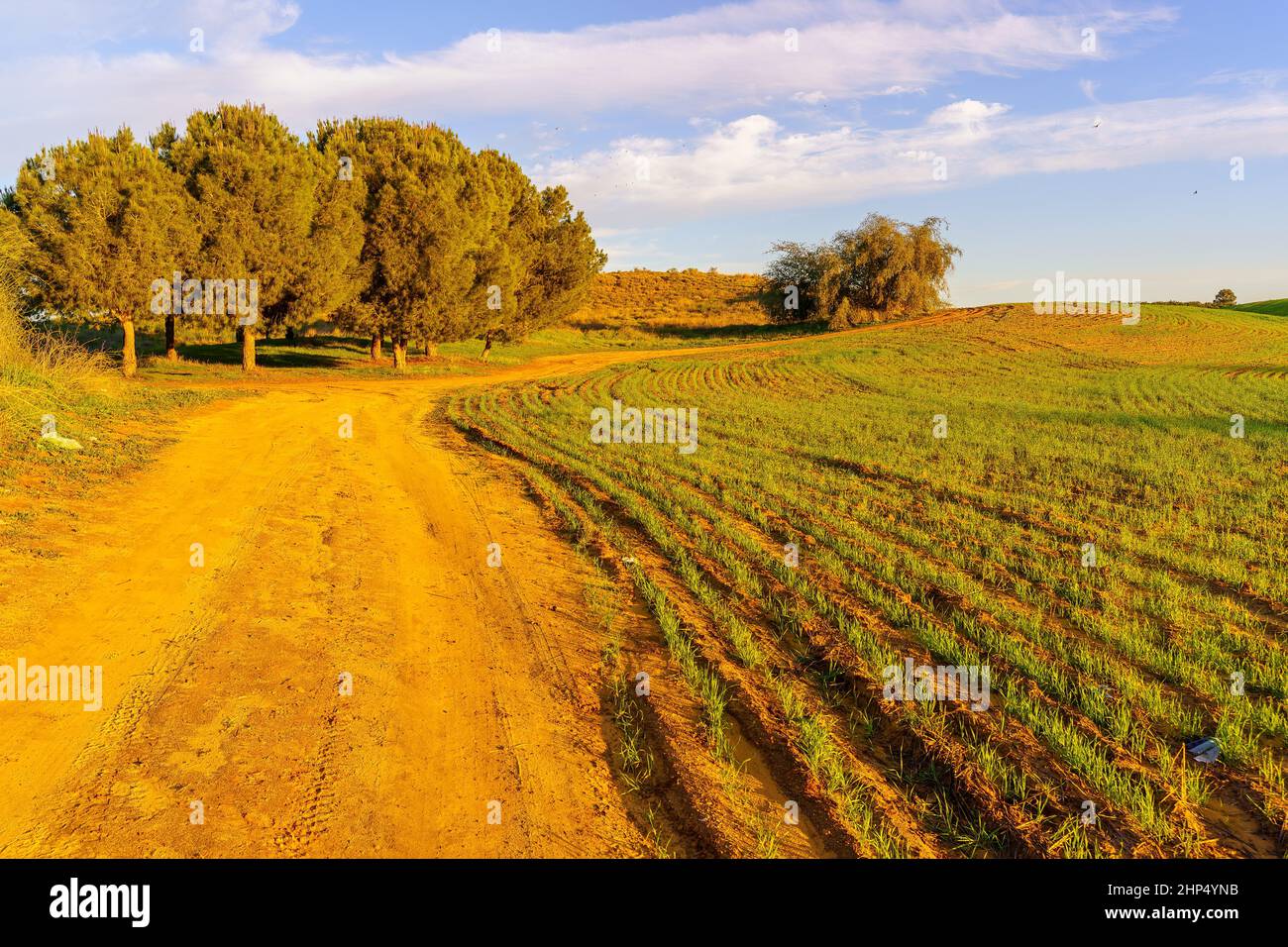 View of countryside in the Ruhama Badlands, the Northern Negev Desert ...
