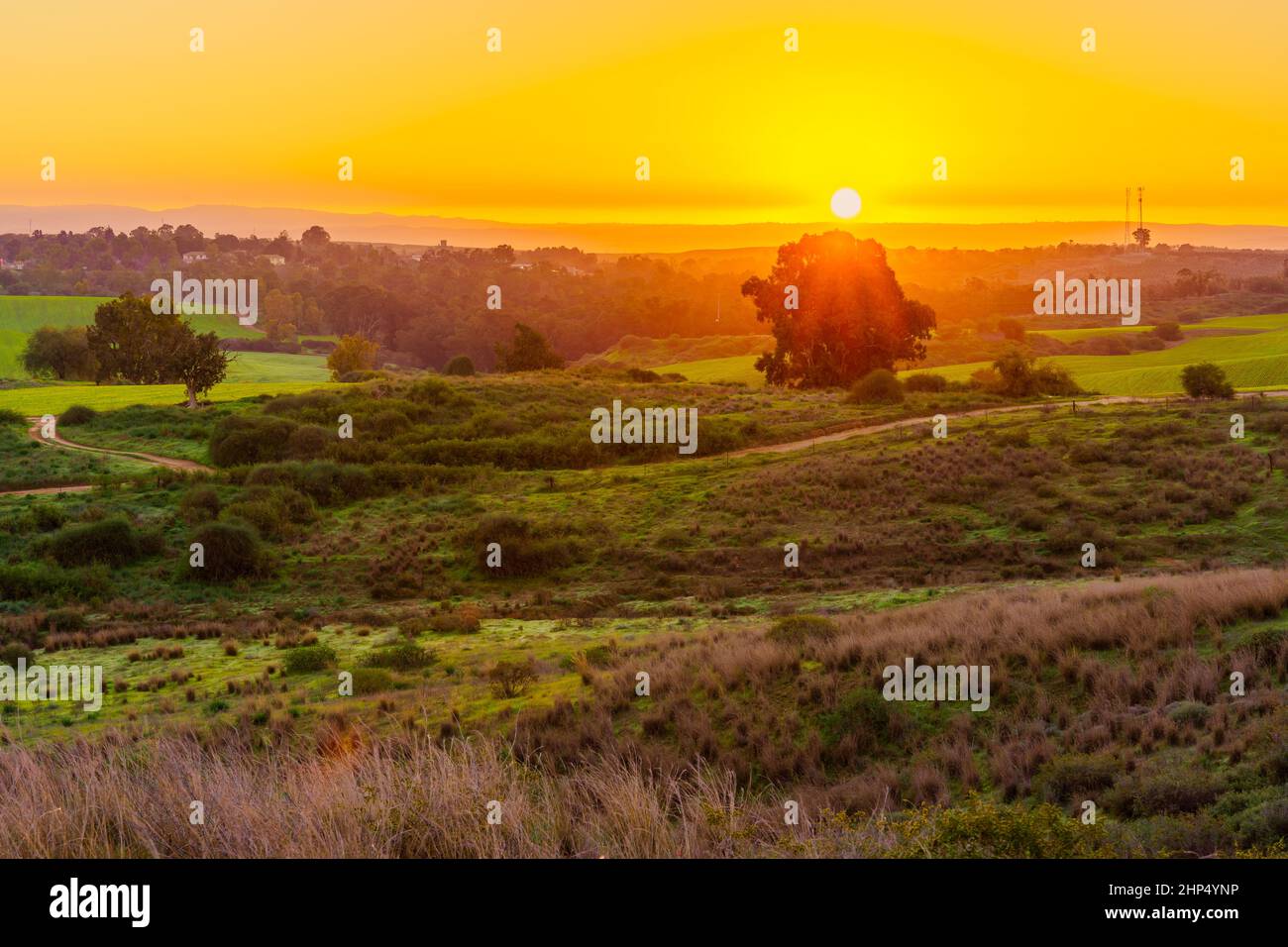 Sunrise view of the countryside of Kibbutz Ruhama, in the Northern ...