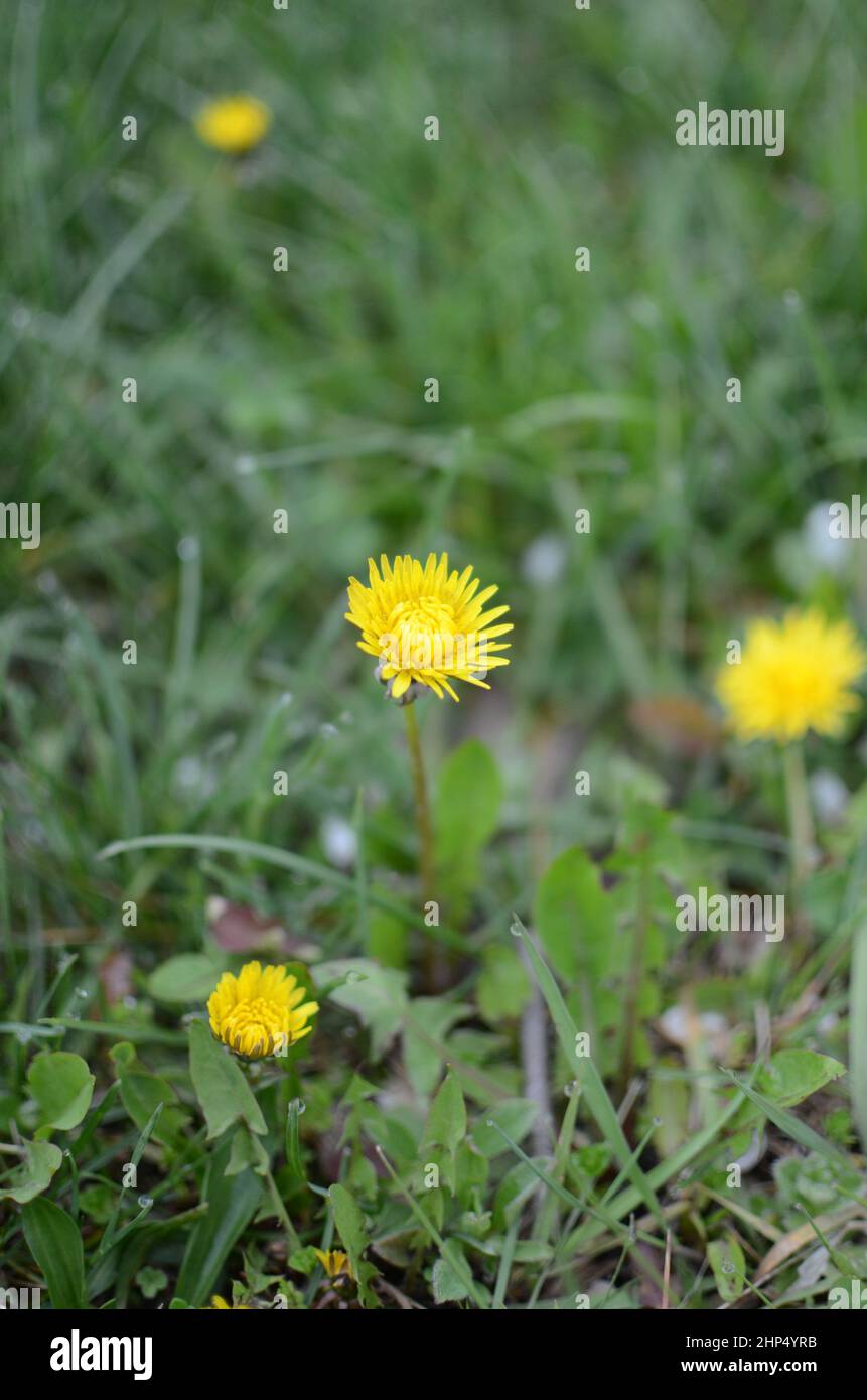 Attractivefoto hi-res stock photography and images - Alamy