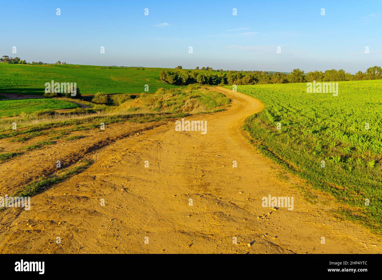 Israel kibbutz ruhama negev desert hi-res stock photography and images ...