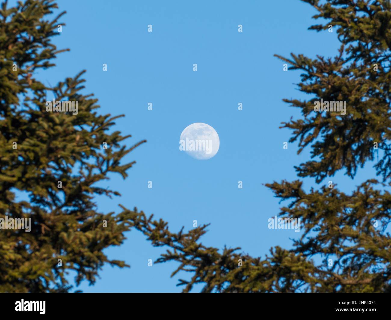 Moon setting into the clouds in daytime Stock Photo - Alamy