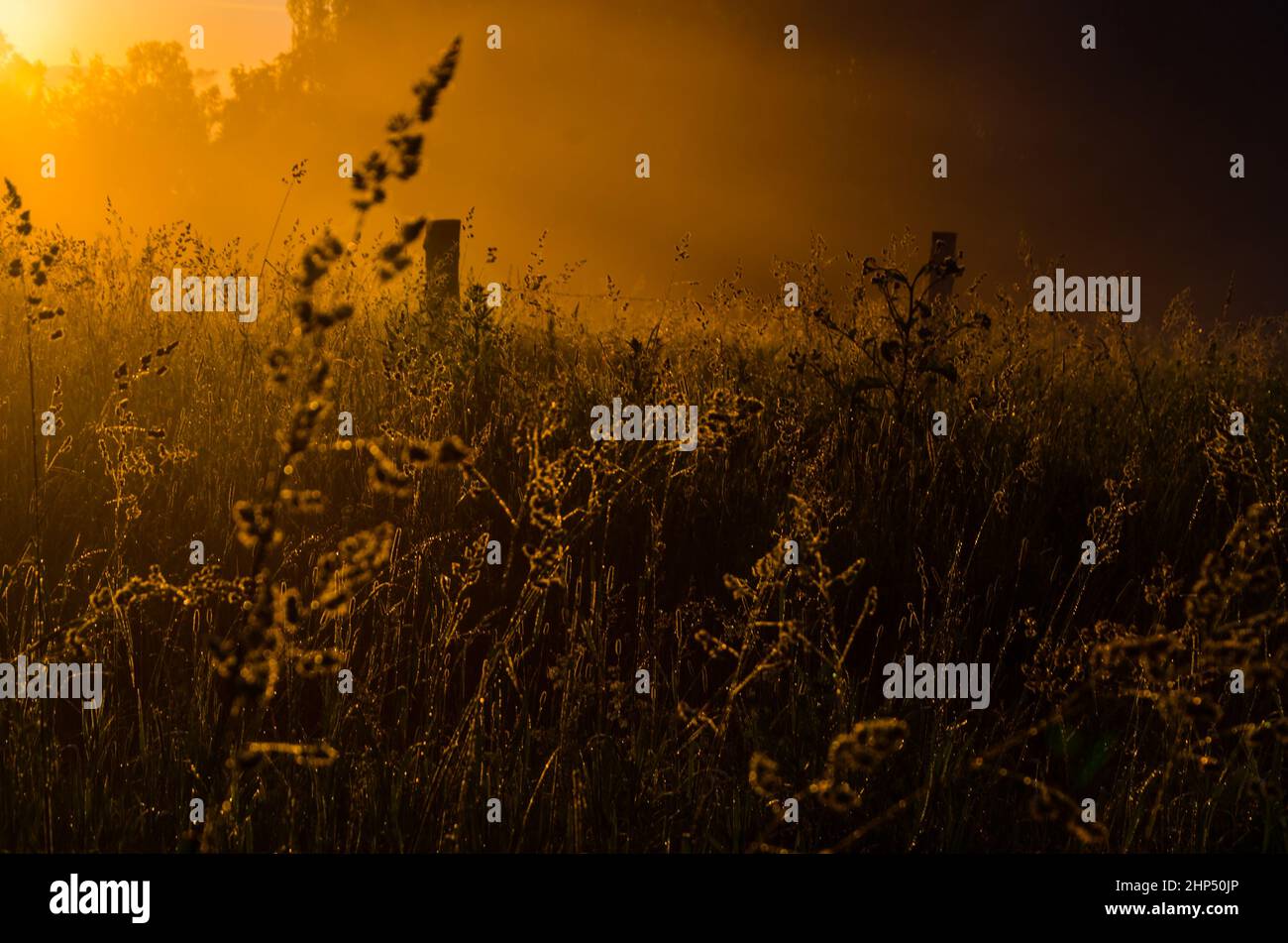 Thick morning fog covers hi-res stock photography and images - Alamy