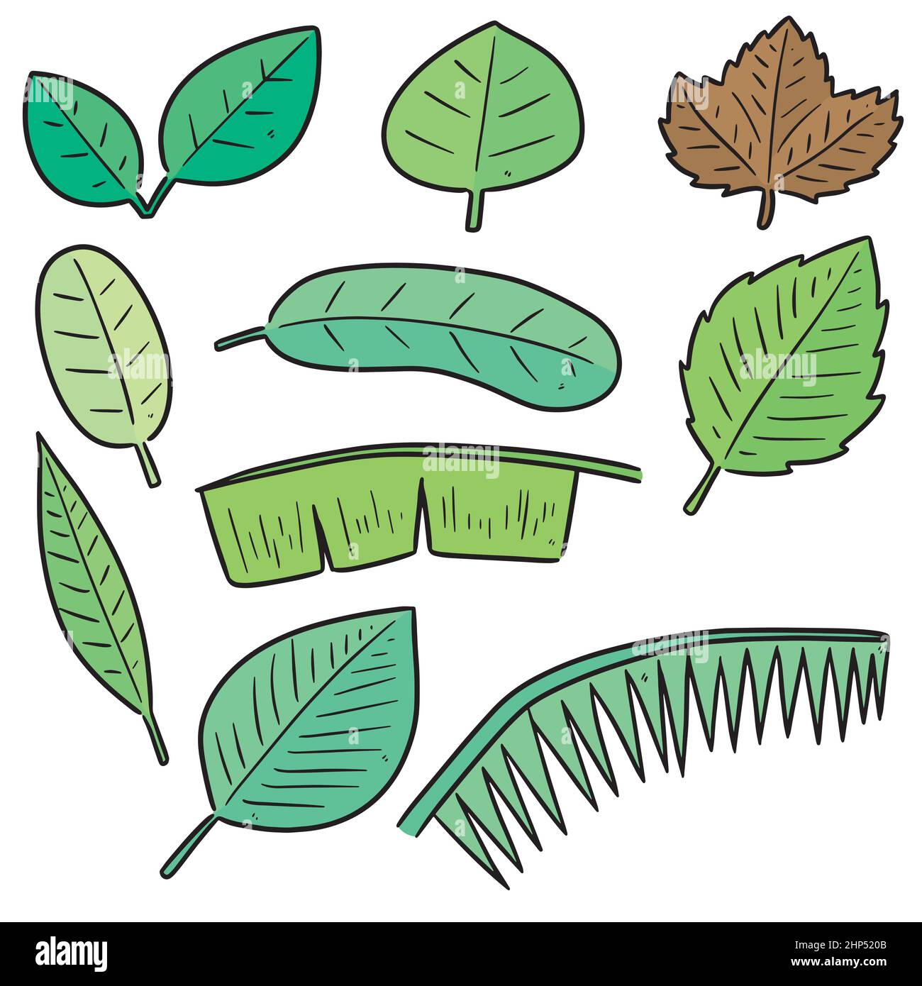 Set of leaves Stock Vector Images - Alamy