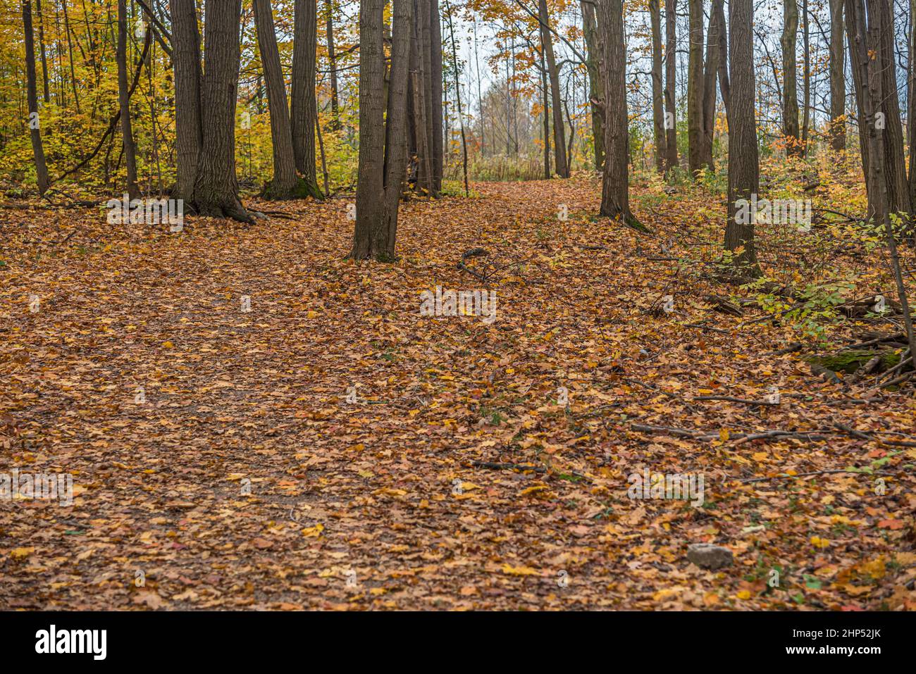 Pake in fall time near Toronto, Canada Stock Photo - Alamy