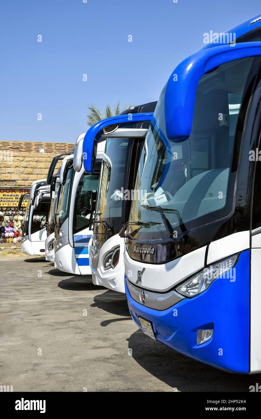 Big tourists buses on parking in sunny day. Close-up. Luxor, Egypt ...