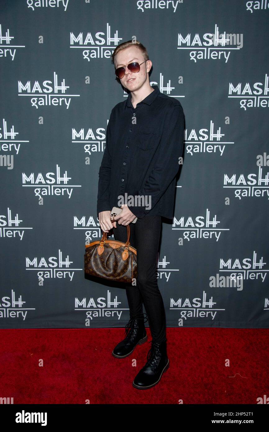 Zach Reinhardt attends Mash Gallery presents "A GOGO II Art Exhibit" at ...