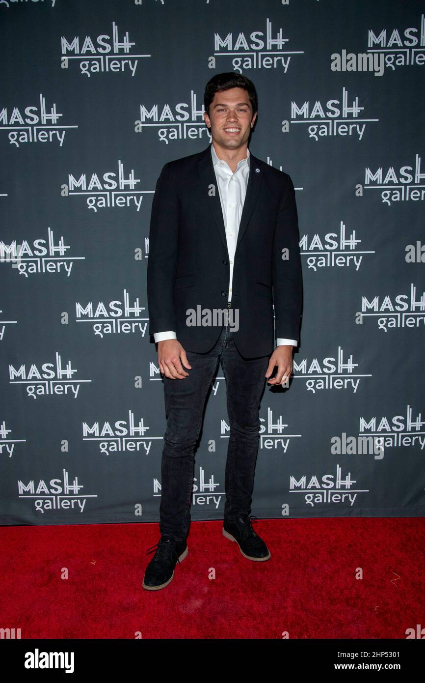 David Grinsfelder attends Mash Gallery presents "A GOGO II Art Exhibit ...