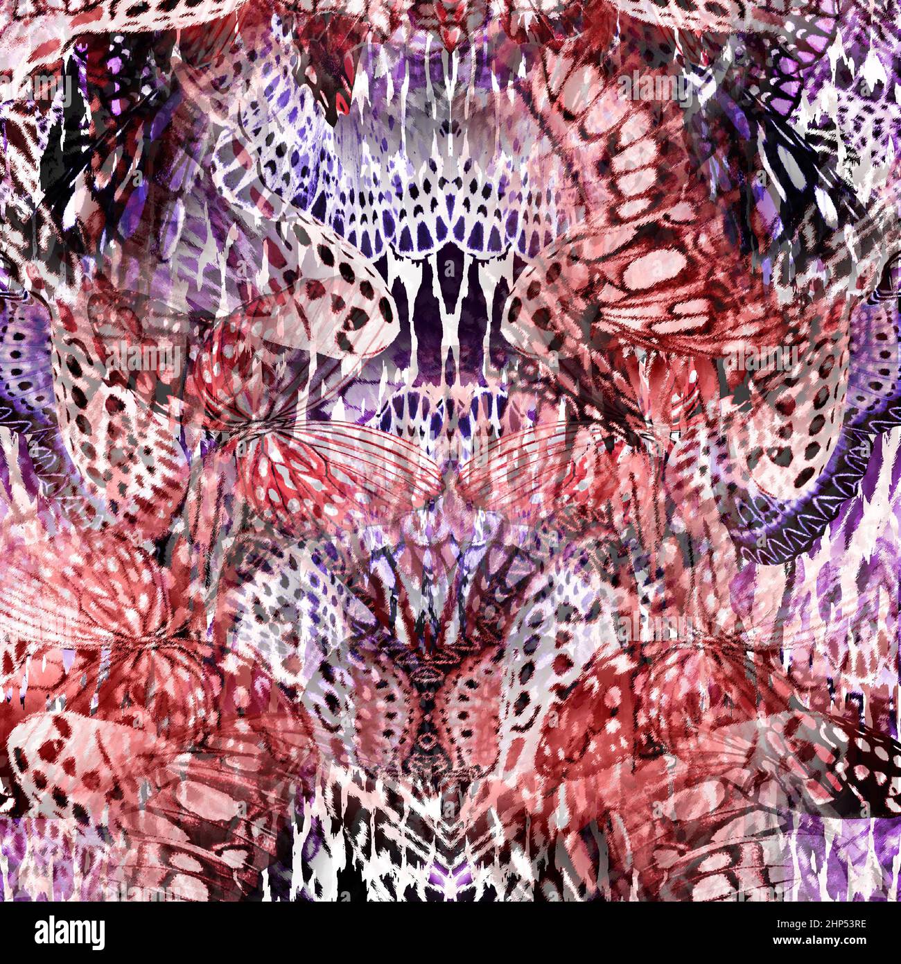 Maroon cat hi-res stock photography and images - Alamy