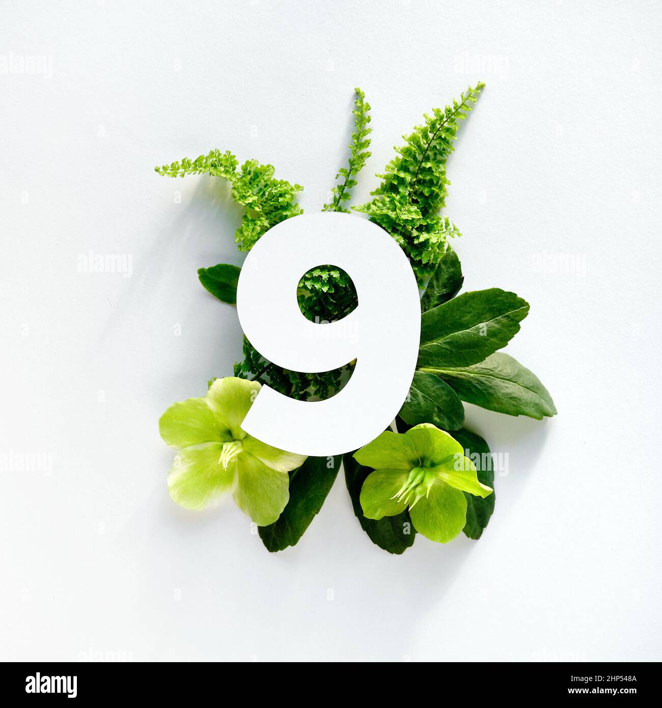 Number 9 leaves hi-res stock photography and images - Alamy