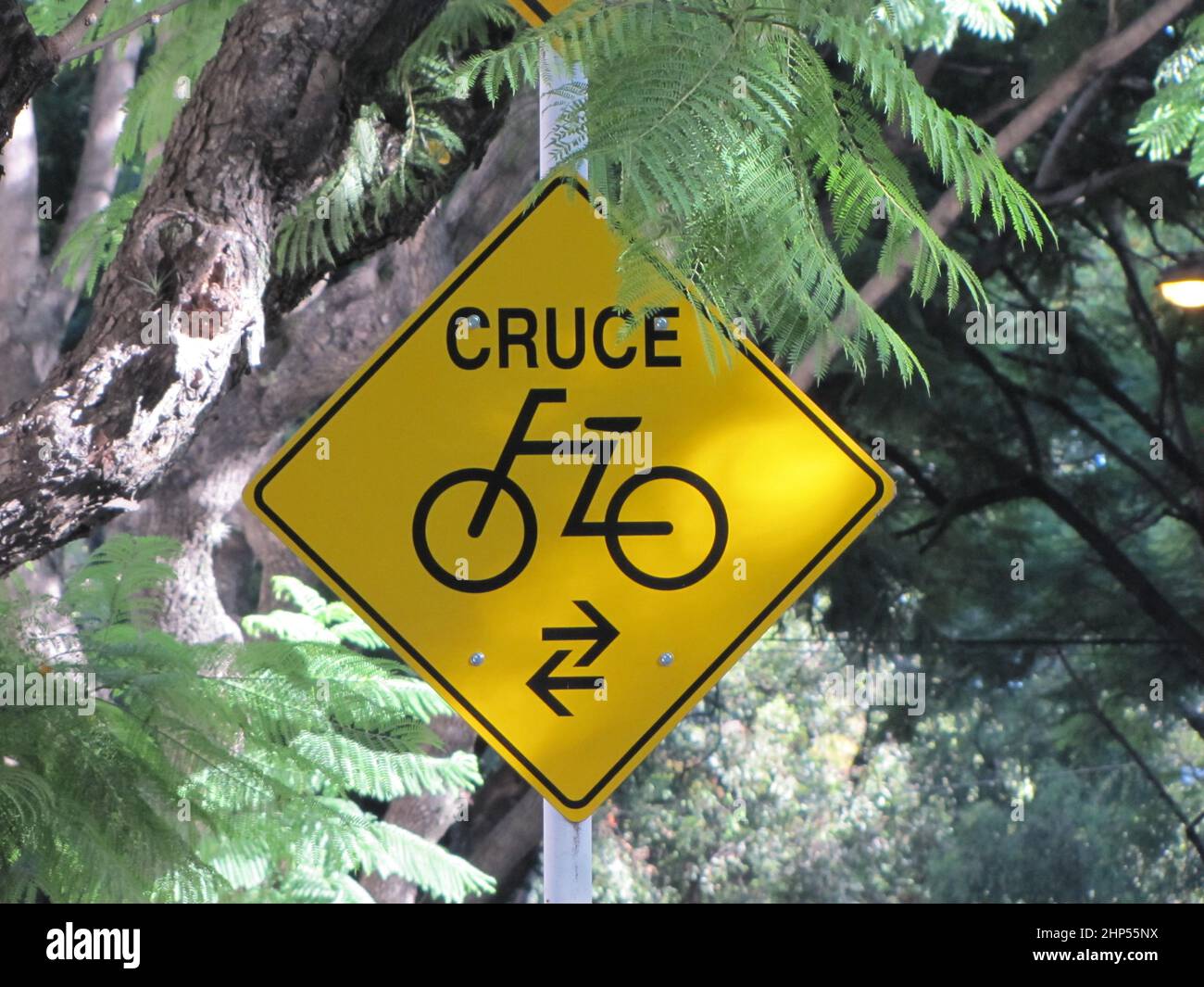 A yellow urban sign for a bicycle path on a street with trees in the ...