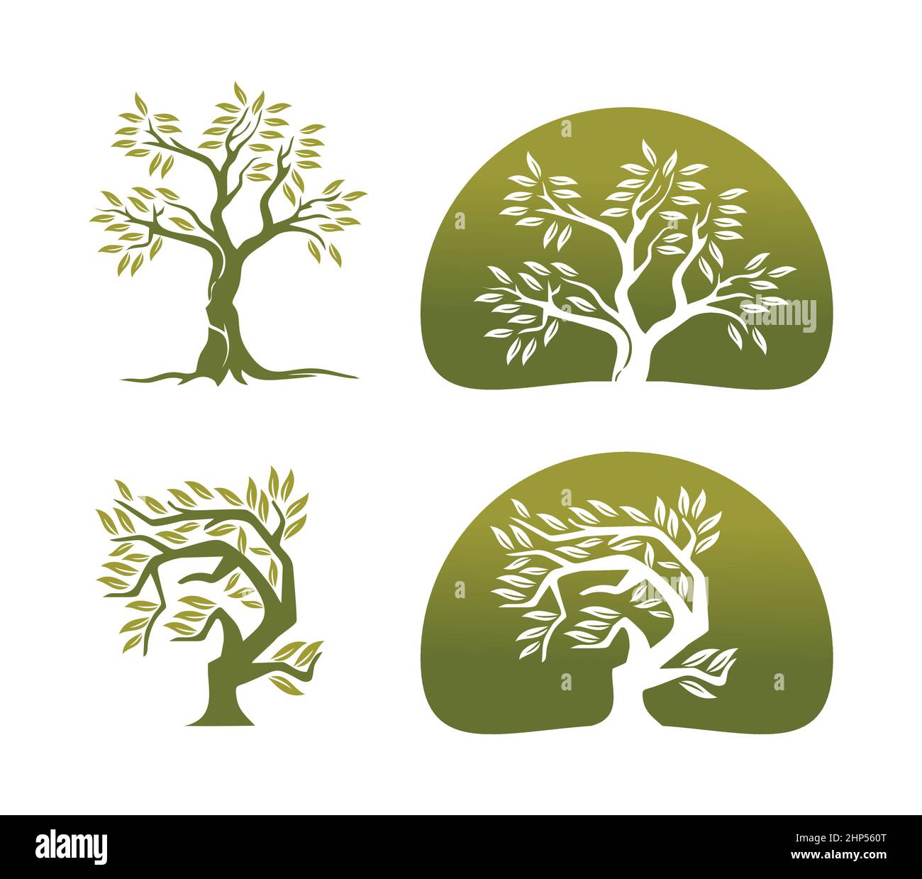 Tree foliage vector olive hi-res stock photography and images - Alamy
