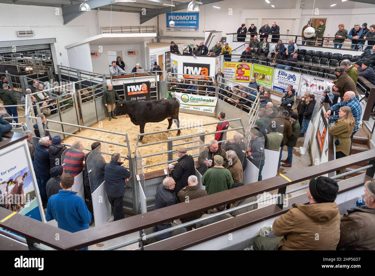 Kendal farmers market hi-res stock photography and images - Alamy