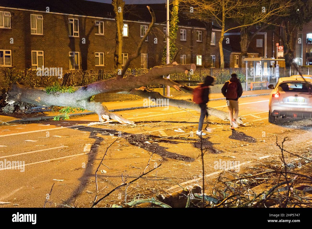 London, UK. 18th February 2022. UK Weather. Storm Eunice uprooted large ...
