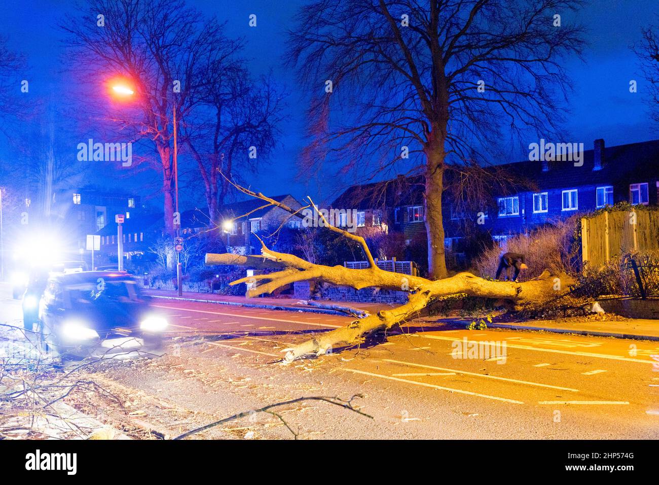 London, UK. 18th February 2022. UK Weather. Storm Eunice uprooted large ...
